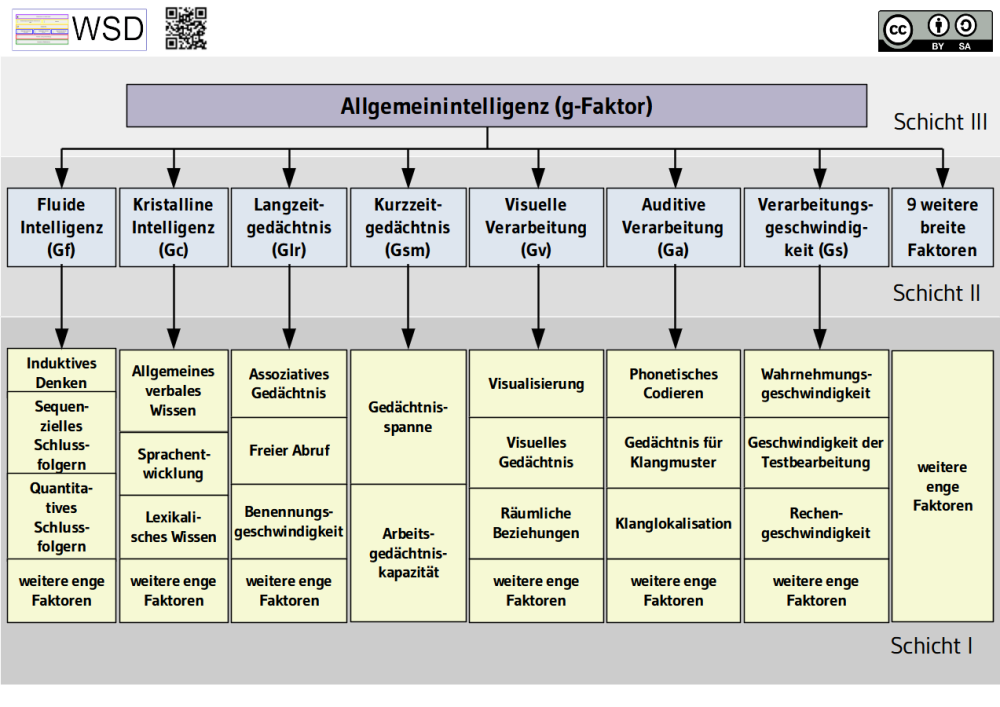 wsd:diagn_methoden_koerperfunktionen:start [Webbasierte ...